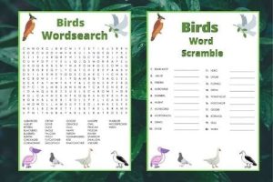 Printable Birds Word Search And Word Scramble - Word Games